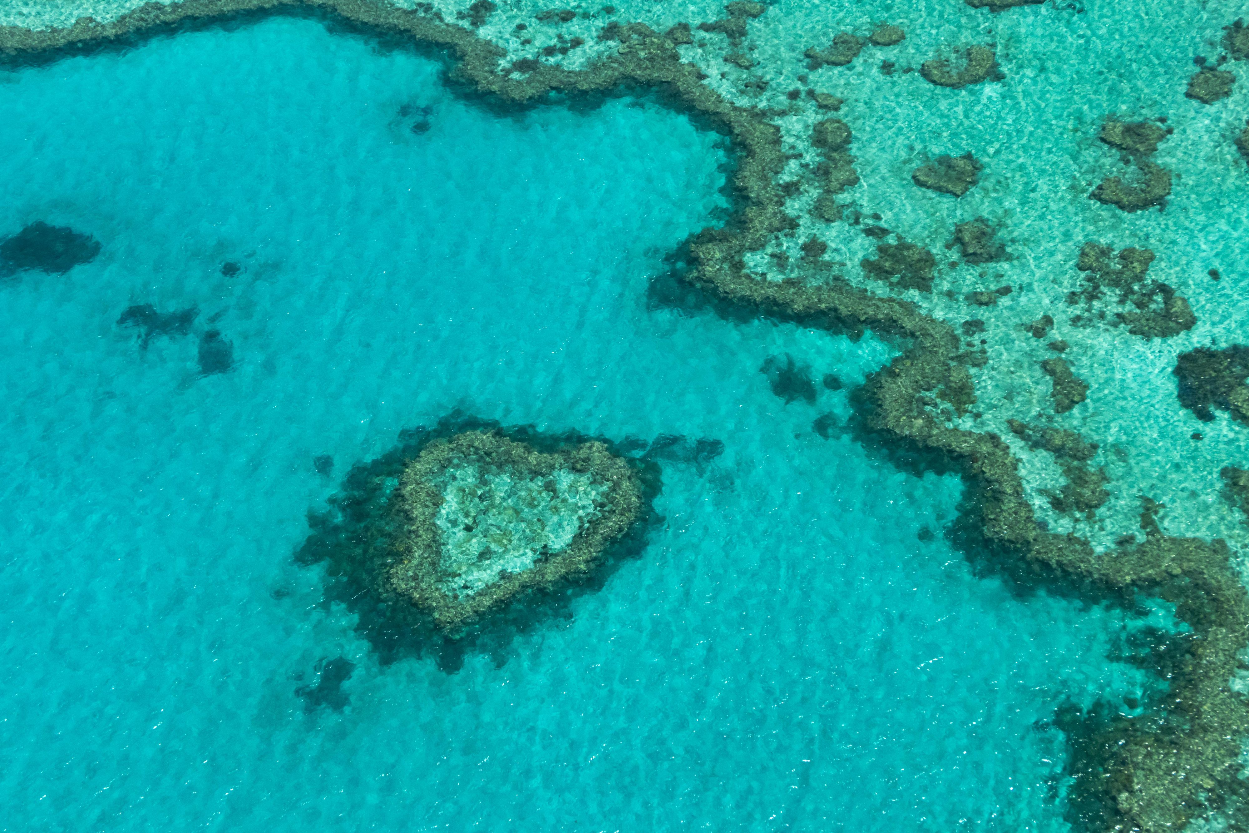 Great Barrier Reef - Queensland Resources Council