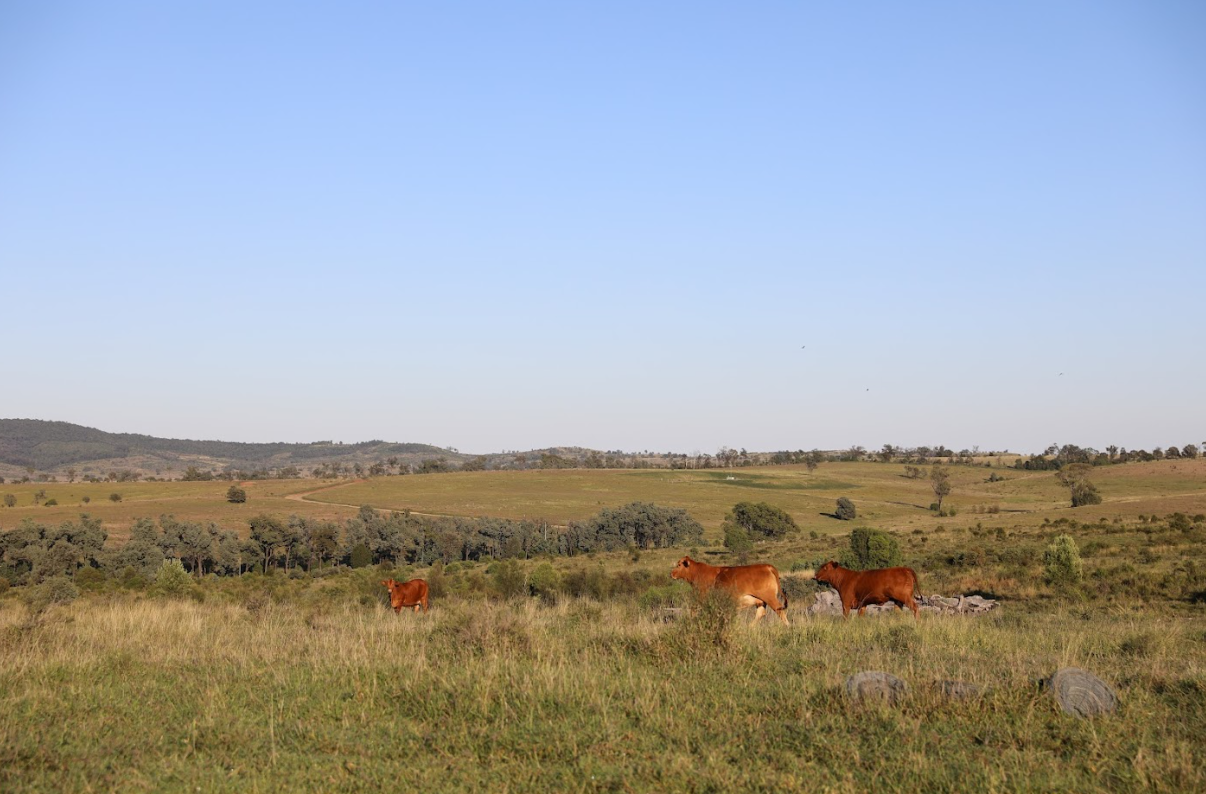 Coexistence - Queensland Resources Council